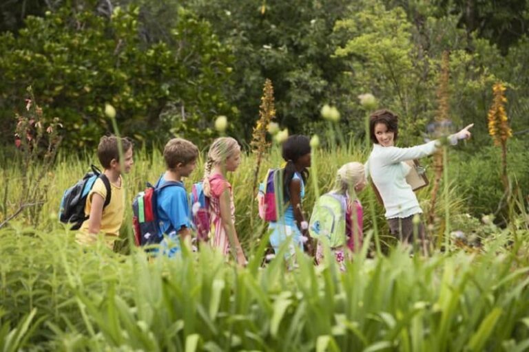 Divertidas actividades para hacer en verano con niños